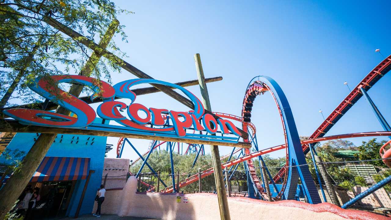 Busch Gardens’ Iconic Scorpion Roller Coaster to Close After 44 Years ...
